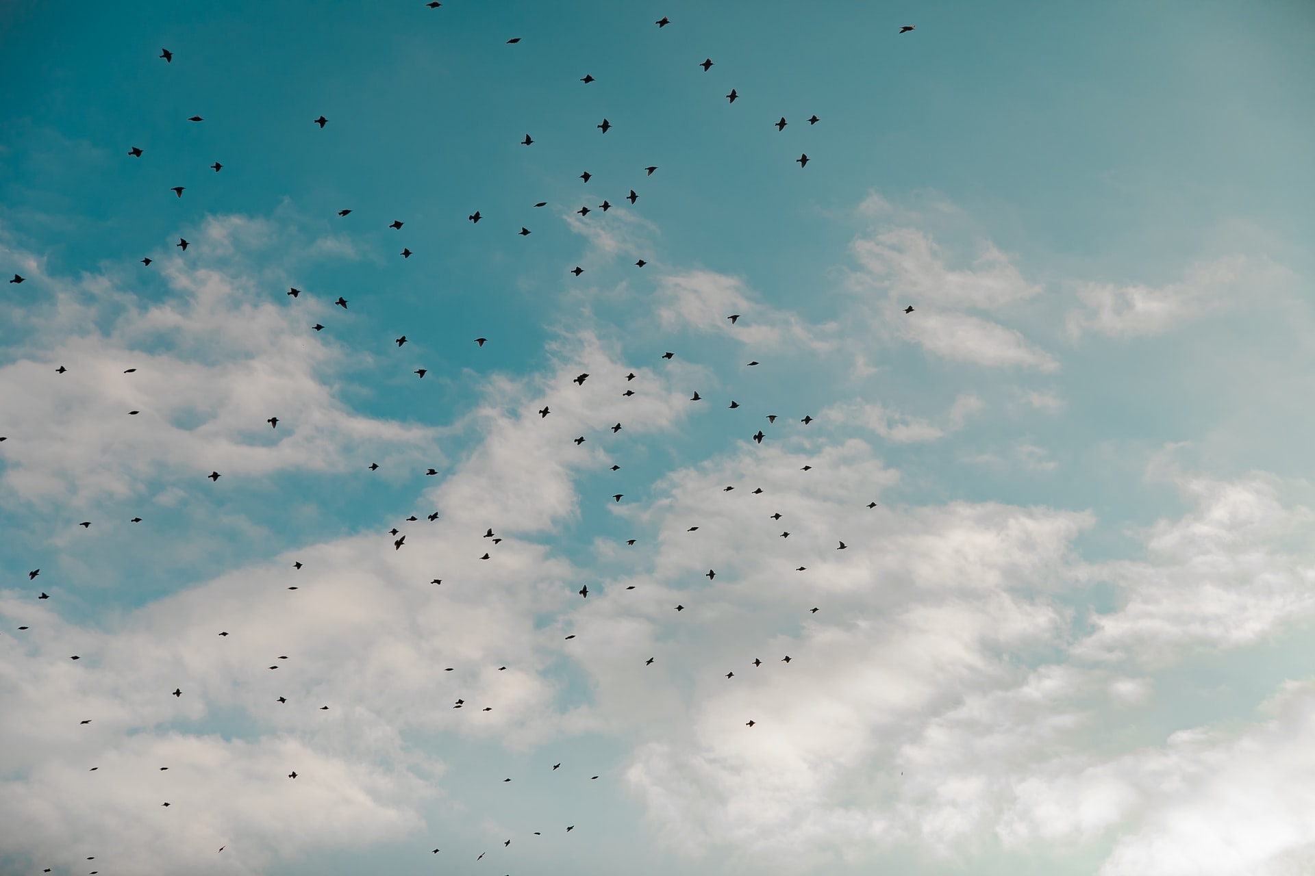 What Are Three Dots Or Spread Operators In React CodingDeft